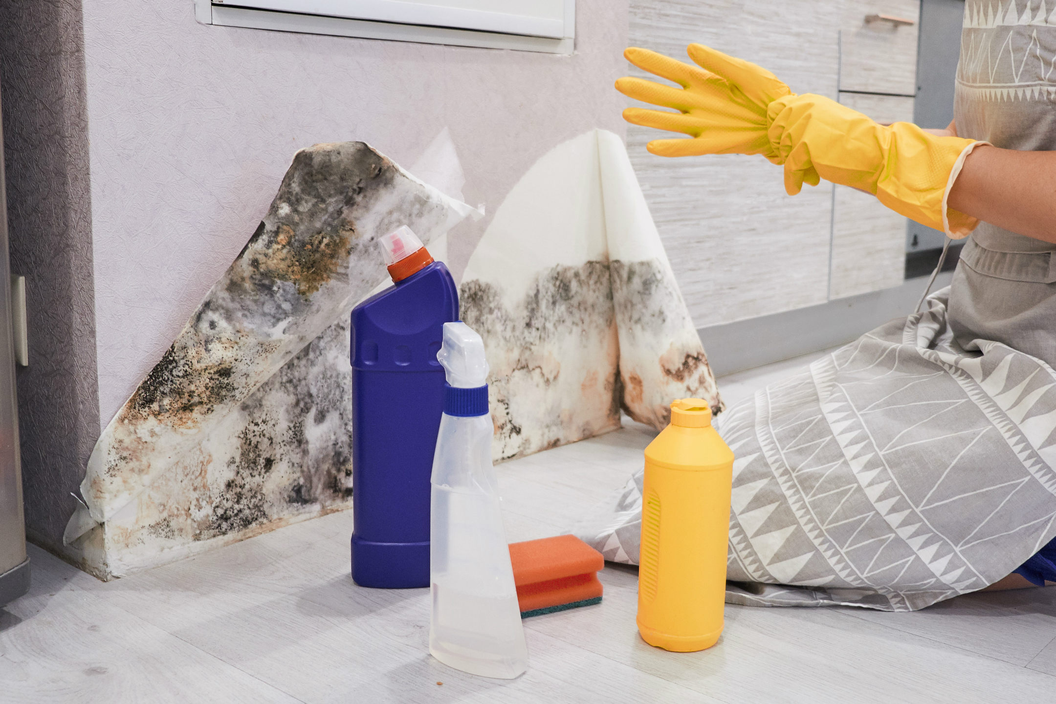 Is It a Cold or Is It Mold? Spotting the Hidden Signs in Your Home ...
