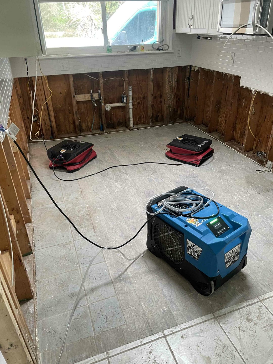 Dehumidification Services in Jacksonville FL